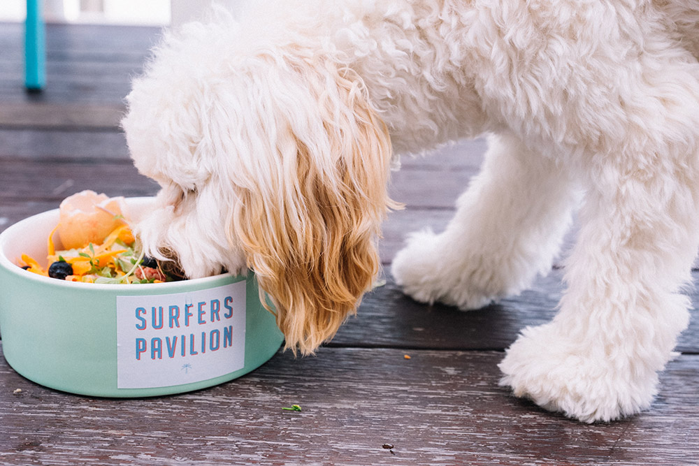 Breakfast, Lunch & Dinner Menus | Surfers Pavilion